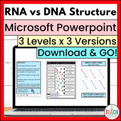 Rna And Dna Structure And Function Bundle Engaging Vocabulary Activities