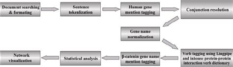 Schematic Representation Of The Literature Based Gene Network Analysis