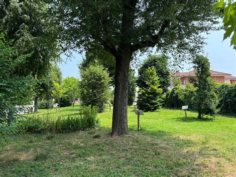 Un Bosco Per La Città Festa Popolare A Cherasco Targatocnit
