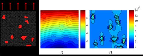 Meshfree Simulation Of Ct Scanned Model With 10592 Particles A Download Scientific Diagram