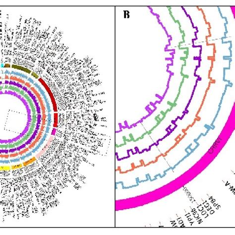 Circos Plot Representing The Gene Expression A The Expression Of