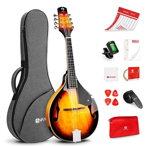 Mandolin Musical Instrument A Style Acoustic Mandolin