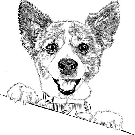 Happy Tuesday From Bruno Look At Salty Said Sweetly