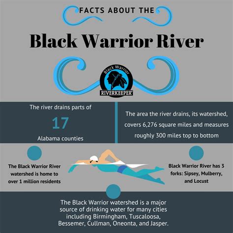 Elena T On Linkedin Fridayfacts