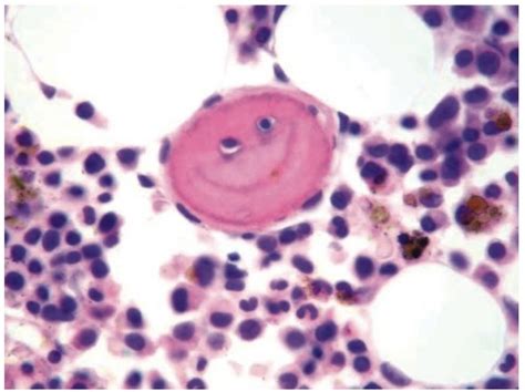 Who Says Pathologists Dont Have A Sense Of Humor