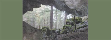 Natural Bridge Visit Trinity