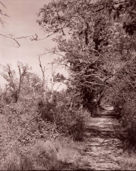 Finally Saw It Happen With Pyrogallic Acid Developer Rwyoungs Weblog