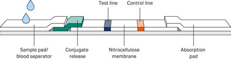 Lateral Flow Assay Development Materials Wdxo