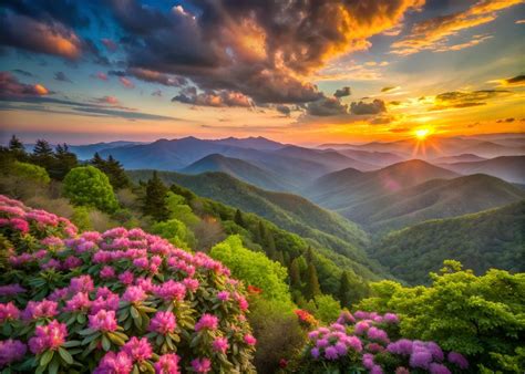 Join Us In Asheville For The Charles L Spurr Piedmont Oncology