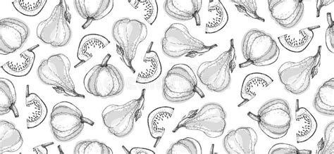 Pumpkin Seamless Pattern In Monochrome Colors Pumpkin Background For