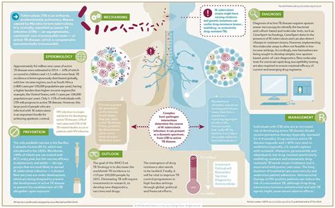 Why The Urease Test Is Essential In Identifying Mycobacterium Tuberculosis