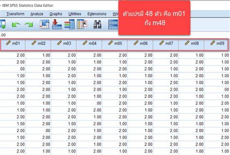 Transform Data การเปลี่ยนแปลงรูปแบบข้อมูลใน Spss Krujakkrapong S Blog