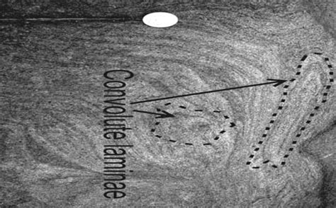 Convolute Lamination Showing Complex Highly Irregular Fold Geometry