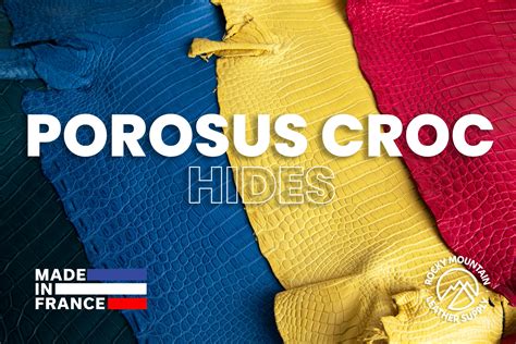 Porosus Crocodile Matte Farm Raised Luxury Skins 40cm