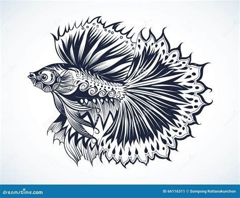 Fighting Fish Isolated On White Background Fighting Fish Hand Painted