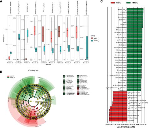 Figure 4 From The Bladder Microbiome Of Nmibc And Mibc Patients Revealed By 2brad M Semantic