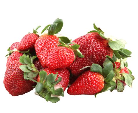 Polyploidy In Strawberries