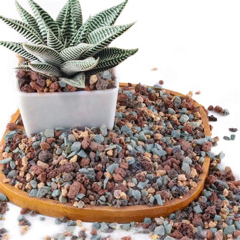 2 4lb Mix Horticultural Lava Rock Pebbles Pumice Potting