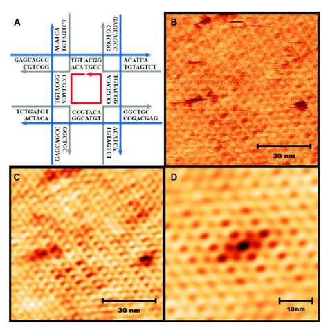 Metamaterial Based On Microsized Paired Right And Left Handed Helices