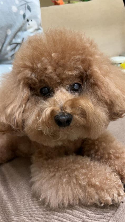 翁秀霞 翁秀霞 Updated Her Cover Photo