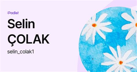 Selin Çolak Selincolak1 Profile Padlet