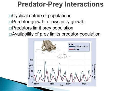 Ecology Unit Ap Biology Chapter 53 Population Ecology
