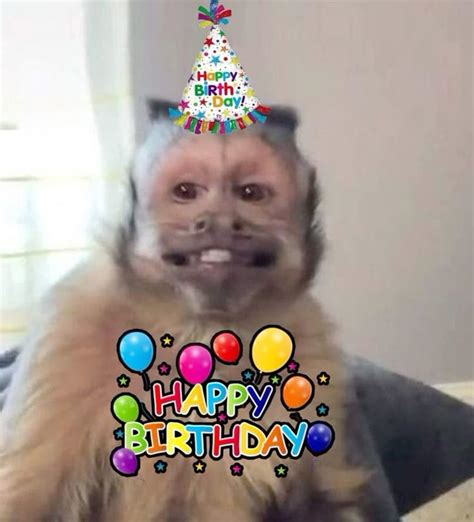 Happy Birthday Monkey With Party Hat