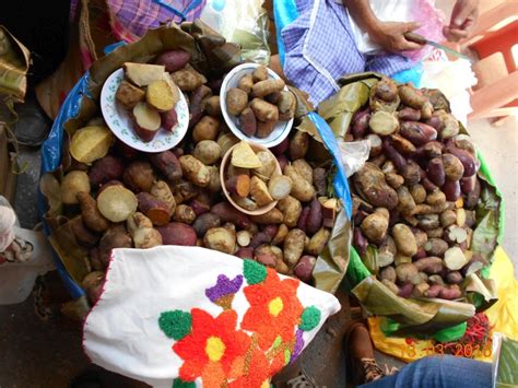 El Cuexcomate Los Usos De La Hoja De Papatla En La Huasteca Hidalguense