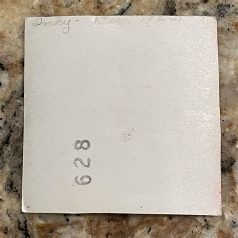 Photo My Grandmother Found Of Her Old Cat Inky C 1950s Midwest Usa R Thewaywewere