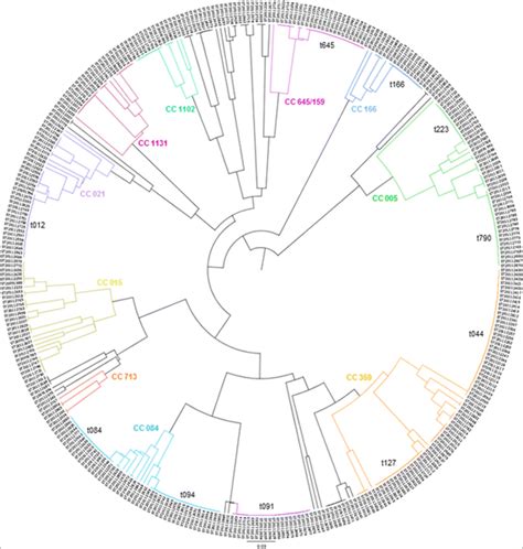 the s aureus population diversity and structure based on spa typing