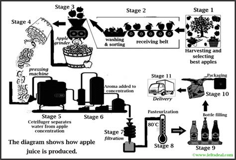 The Diagram Shows How Concentrated Apple Juice Is Produced Ielts