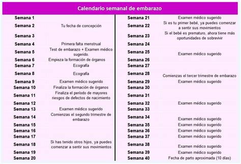 Calendario Semanal Del Embarazo Calendarios Del Embarazo