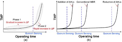 A Typical Profile Of Trans Membrane Pressure Tmp Increase During
