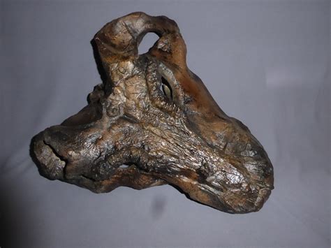 Gorgonopsid
