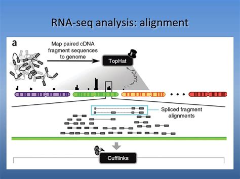 Interrogating The Transcriptome In All Its Diversity Ppt Download