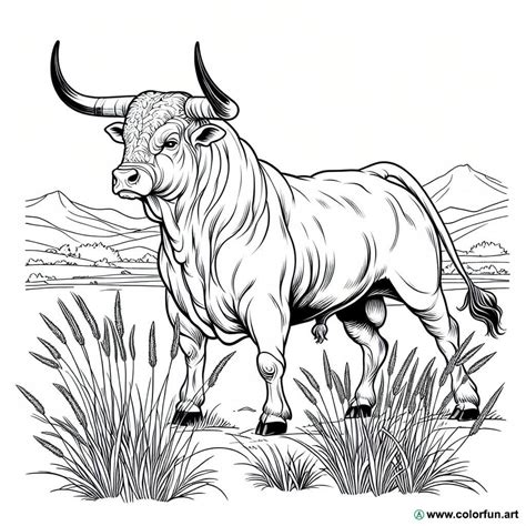 Dibujo Para Colorear Del Toro De Camargue Descargar O Imprimir De