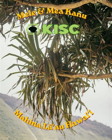 Mahina Lāʻau Hawaiʻi Mele And Mea Kanu Kauai Invasive Species Committee Kisc