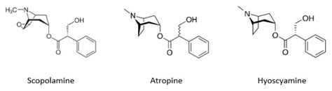 Chemical Structures Of The Primary Plant Derived Tropane Alkaloids