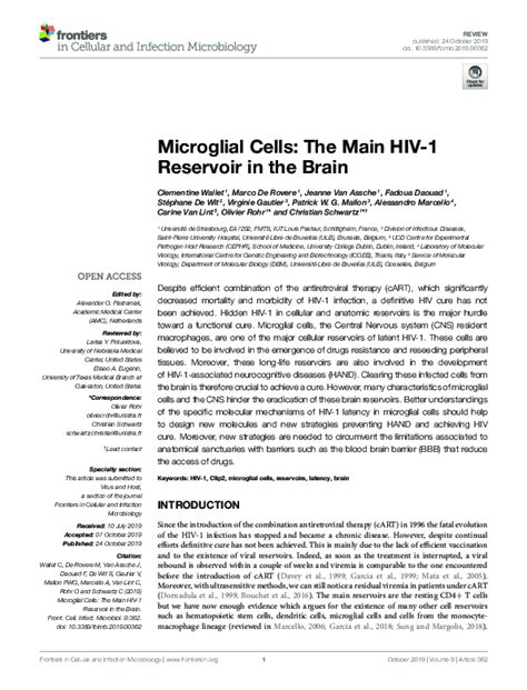 Pdf Microglial Cells The Main Hiv 1 Reservoir In The Brain
