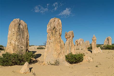 Desert Ecosystem Background Images Hd Pictures And Wallpaper For Free