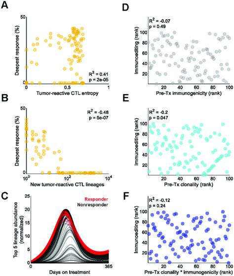 Immunopeptidome And Ctl Dynamics Correlated With Icb Response A Download Scientific Diagram