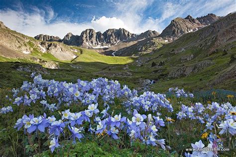 Andy Brehm Photography