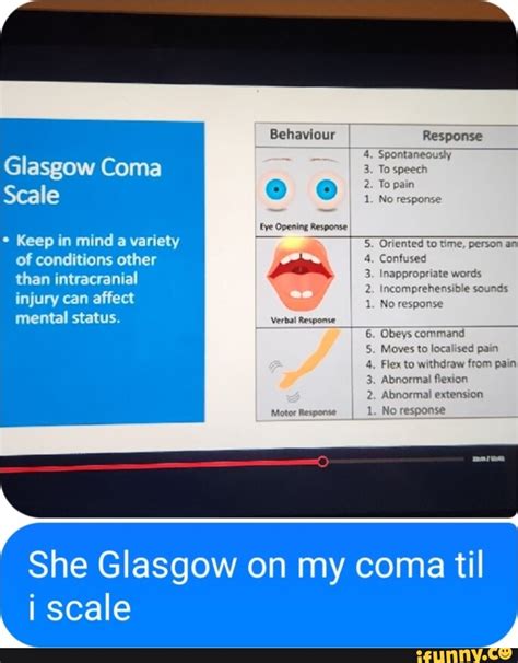 Behaviour Glasgow Coma Scale Eye Opening Response Keep In Mind Variety Of Conditions Other Than