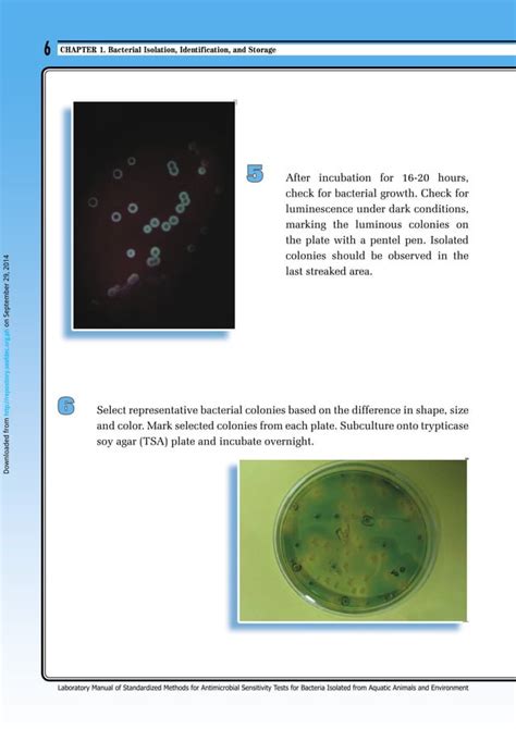 Chapter1 Bacterial Isolation Identification And Storage Pdf