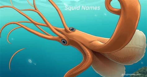 380 Cool And Catchy Squid Names Unique Ideas