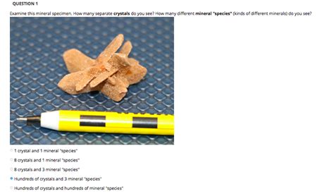 Solved Please Answer All Of The Questions If You Are Not