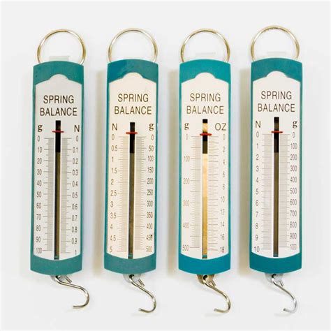 What Is A Spring Scale Definition At Ted Hayes Blog