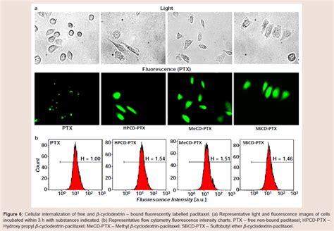 Avens Publishing Group Molecular Inclusion Complexes Of β Cyclodextrin Derivatives Enhance
