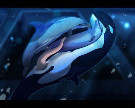 Rule 34 Animal Genitalia Animal Penis Black Body Call Vagabond