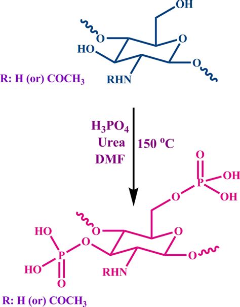 Preparation Of Phosphorylated Chitosan Download Scientific Diagram